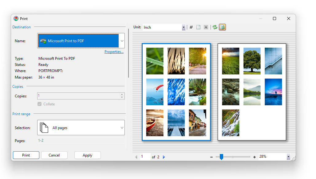 How to Print Multiple Photos on One Page - ImagePrint
